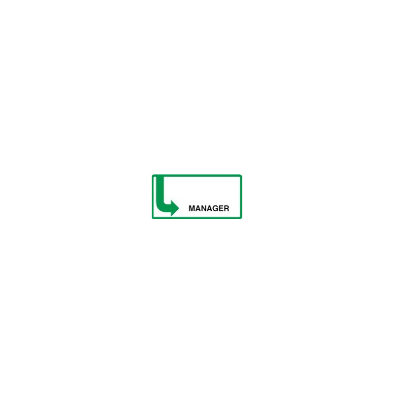 Manager Pin pack of 2 NEW